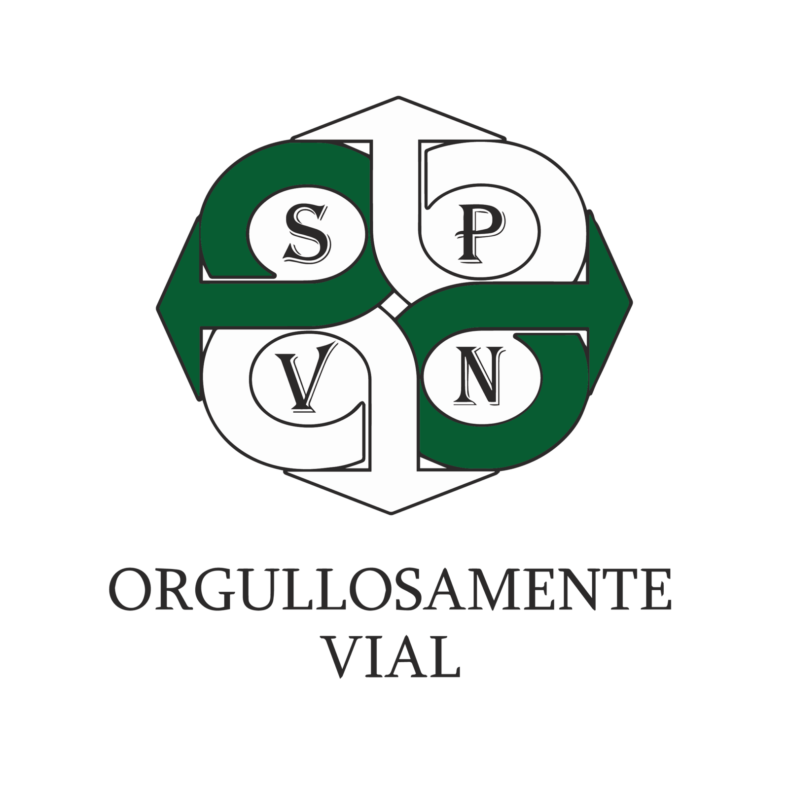 Inicio - SPVN 19